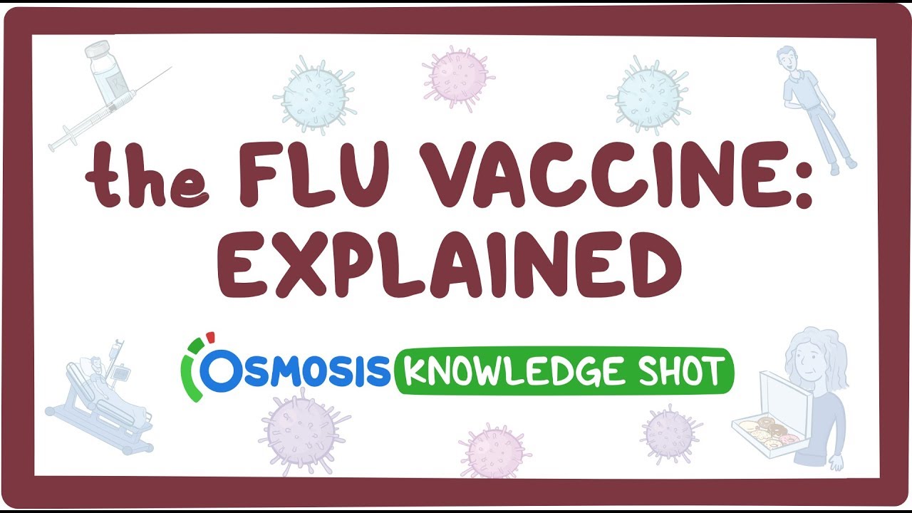The flu vaccine: Information for patients and families: Video, Causes ...