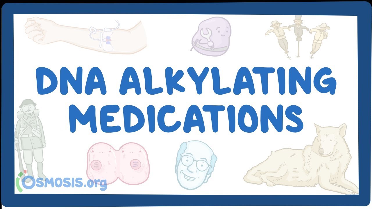 DNA alkylating medications: Video, Causes, & Meaning | Osmosis