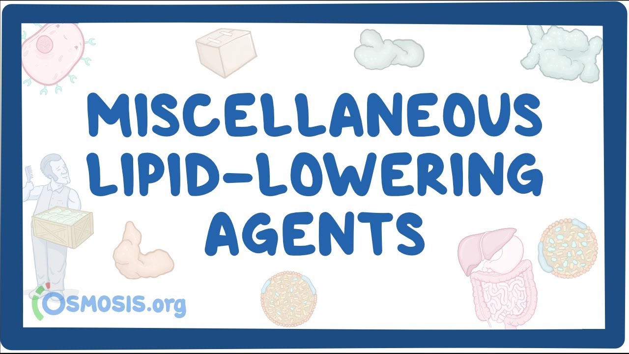 Miscellaneous lipid-lowering medications: Video, Causes, & Meaning ...