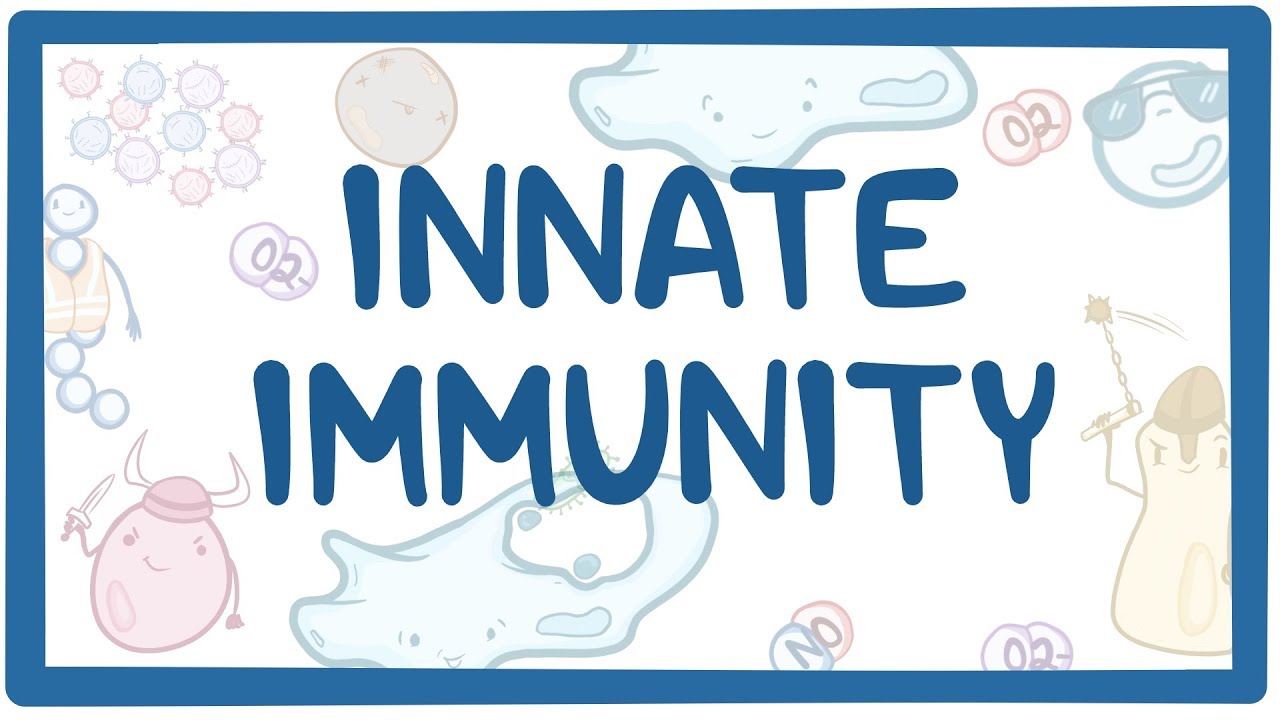 Innate immune system - Osmosis Video Library