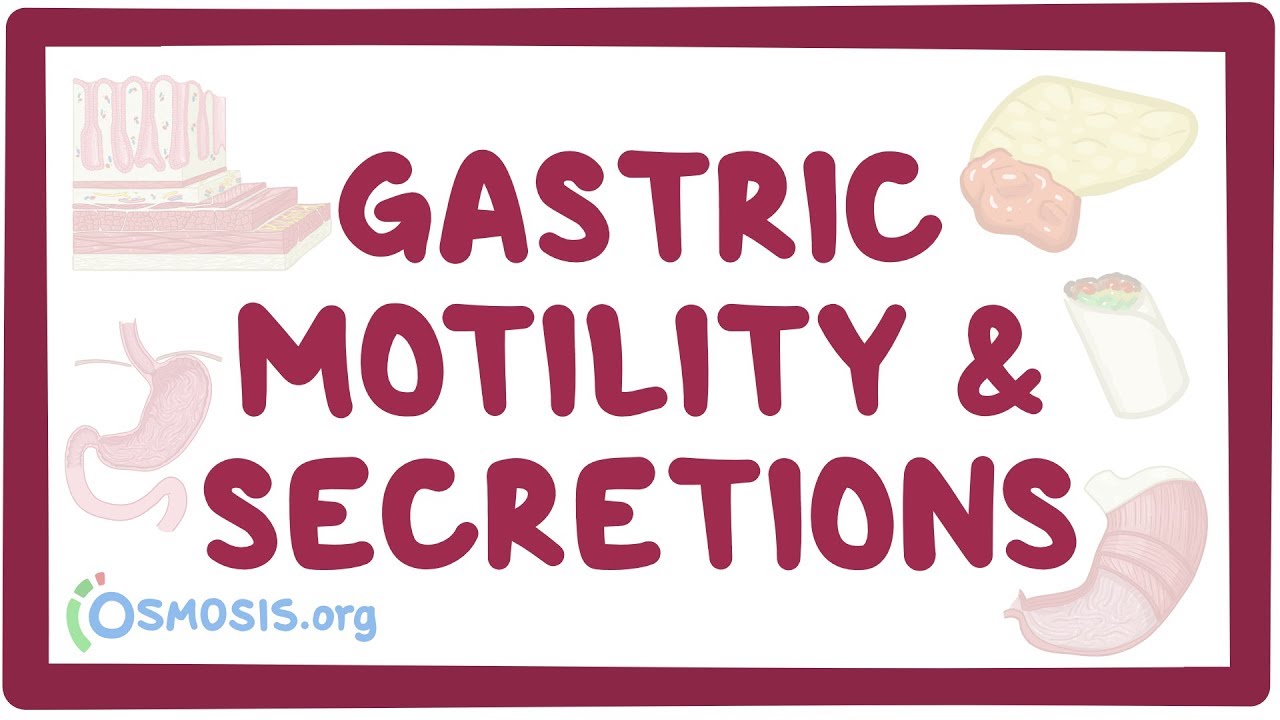 Gastric motility and secretions - Osmosis