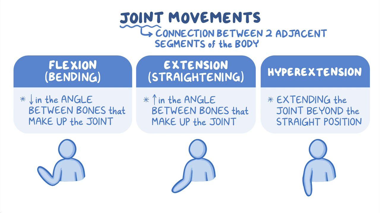 Range Of Motion Exercises Osmosis Video Library