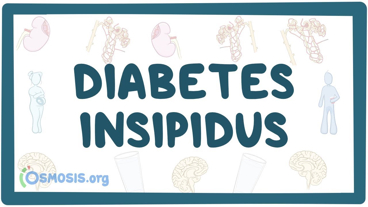Diabetes Insipidus Video Anatomy Definition Osmosis