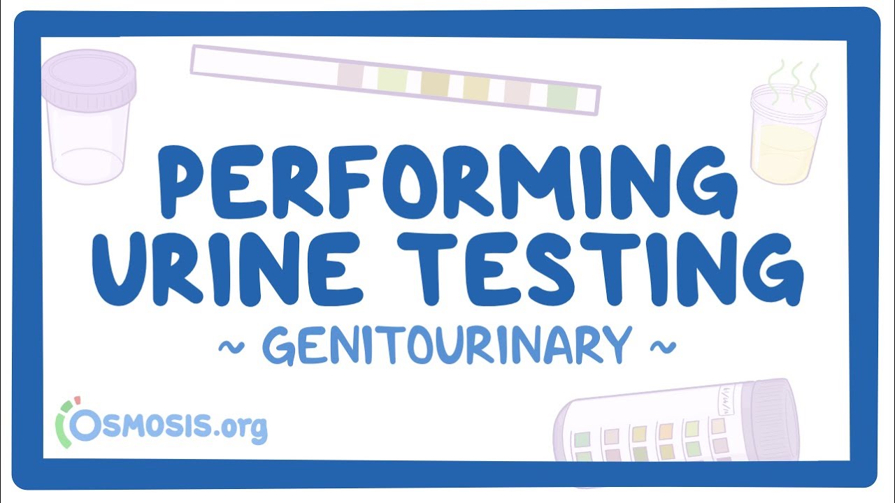 Genitourinary: Performing urine testing (for nursing assistant training ...