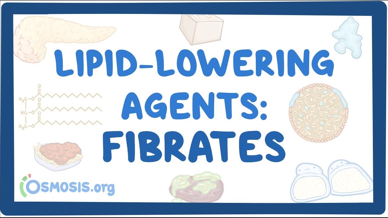 Lipid-lowering medications: Fibrates: Video, Causes, & Meaning | Osmosis