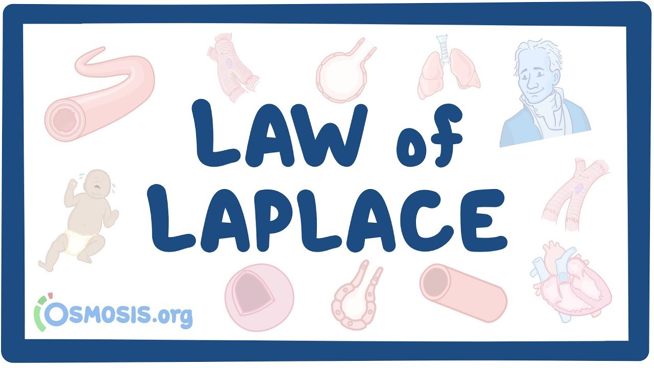 Law of Laplace in Physiology and Heart | Osmosis
